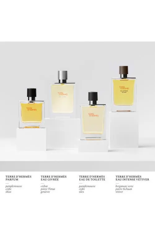 Hermès Terre D’pure Perfume Set