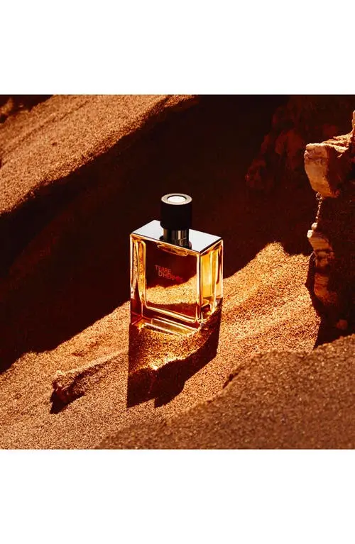 Hermès Terre D’pure Perfume Set
