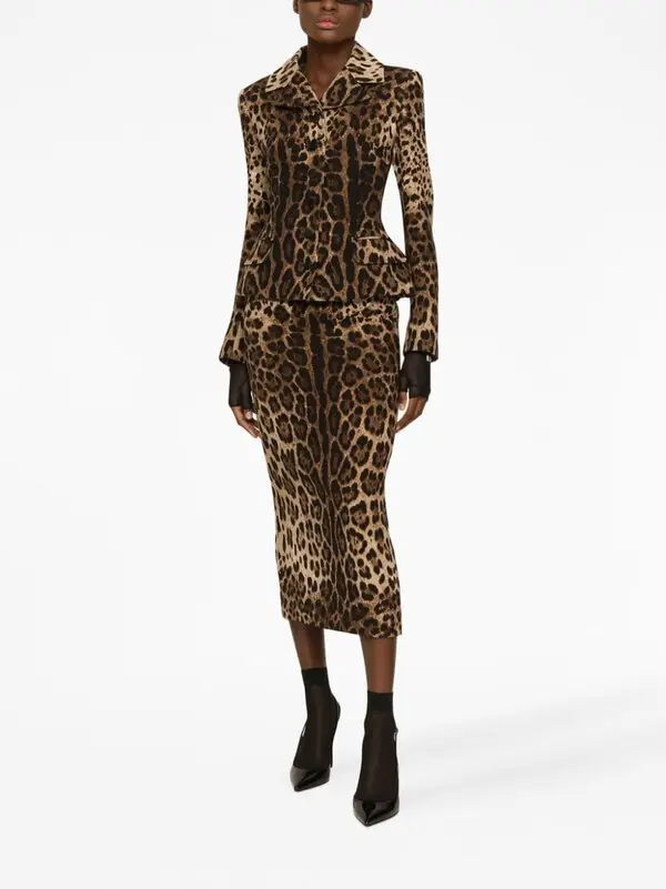 Dolce & Gabbana Leopard-print Blazer - Brown