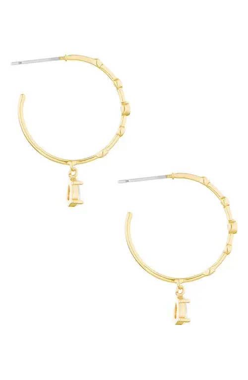 Ettika 18k- Plated Hoop Earrings