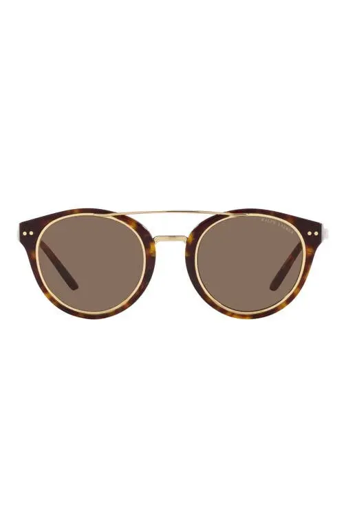 Ralph Lauren 49mm Round Frame Sunglasses - Dark Havana/brown