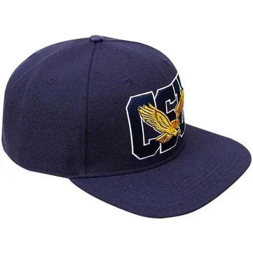PRO STANDARD Coppin State Eagles Evergreen Csu Snapback Hat