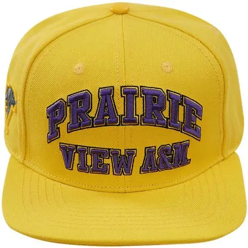 PRO STANDARD Prairie View A&m Panthers Evergreen Prairie View Snapback Hat