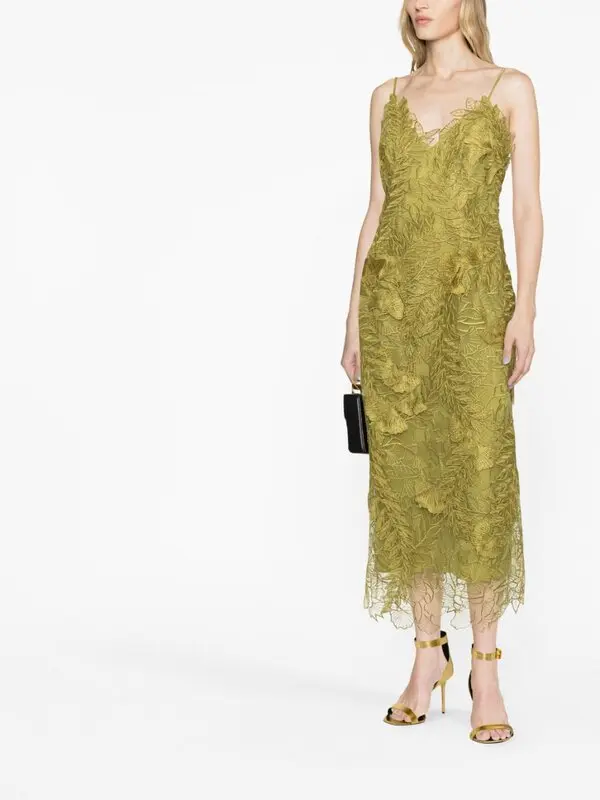 Alberta Ferretti Embroidered Midi Dress
