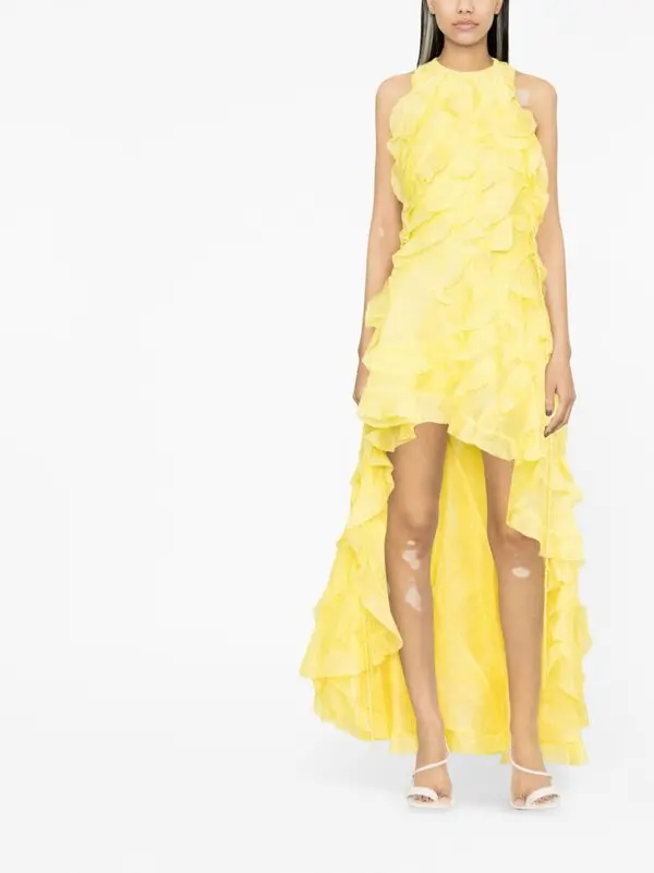 Zimmermann Wonderland Ruffled Dress