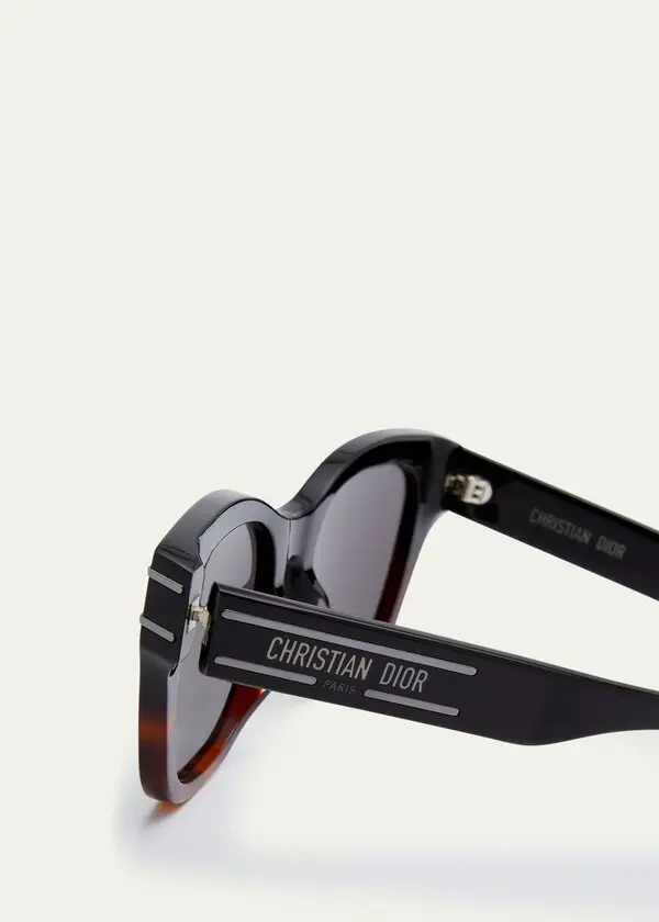 Dior Diorsignature B4i Butterfly Sunglasses