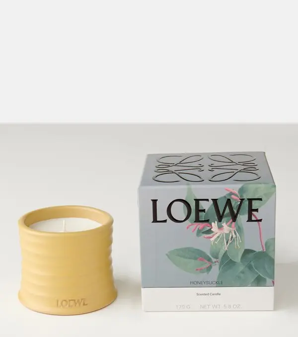 Loewe Honeysuckle Small Scented Candle - Yellow