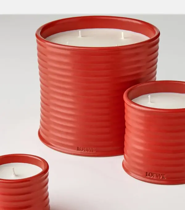 Loewe Tomato Leaves Small Scented Candle