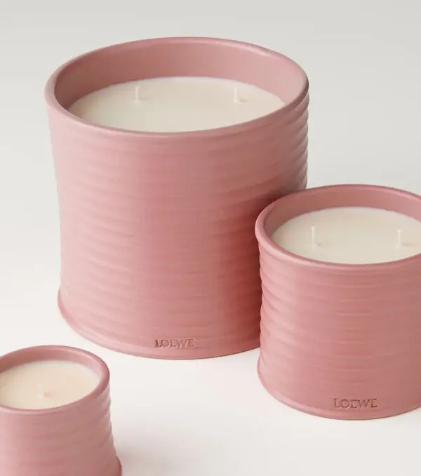 Loewe Ivy Medium Candle - Pink