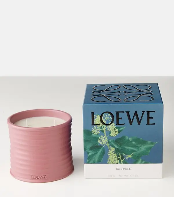 Loewe Ivy Medium Candle - Pink