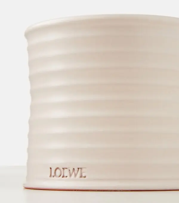 Loewe Oregano Medium Scented Candle