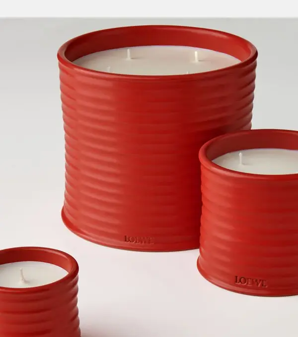 Loewe Tomato Leaves Large Scented Candle