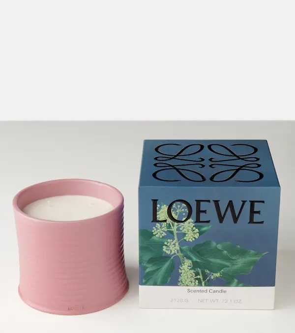 Loewe Ivy Large Scented Candle