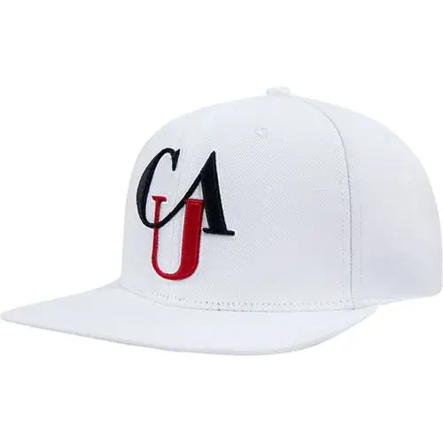 PRO STANDARD Clark Atlanta University Panthers Evergreen Wool Snapback Hat