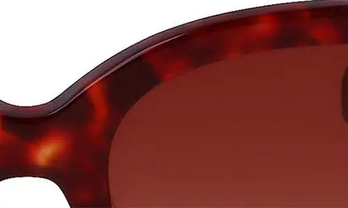 Longchamp 54mm Sunglasses - Red Havana