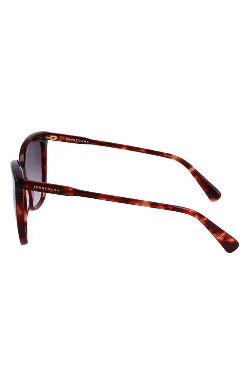 Longchamp 53mm Rectangular Sunglasses - Red Havana