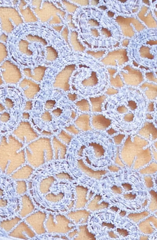 Kilo Brava Stretch Lace Garter Belt - Periwinkle | Editorialist