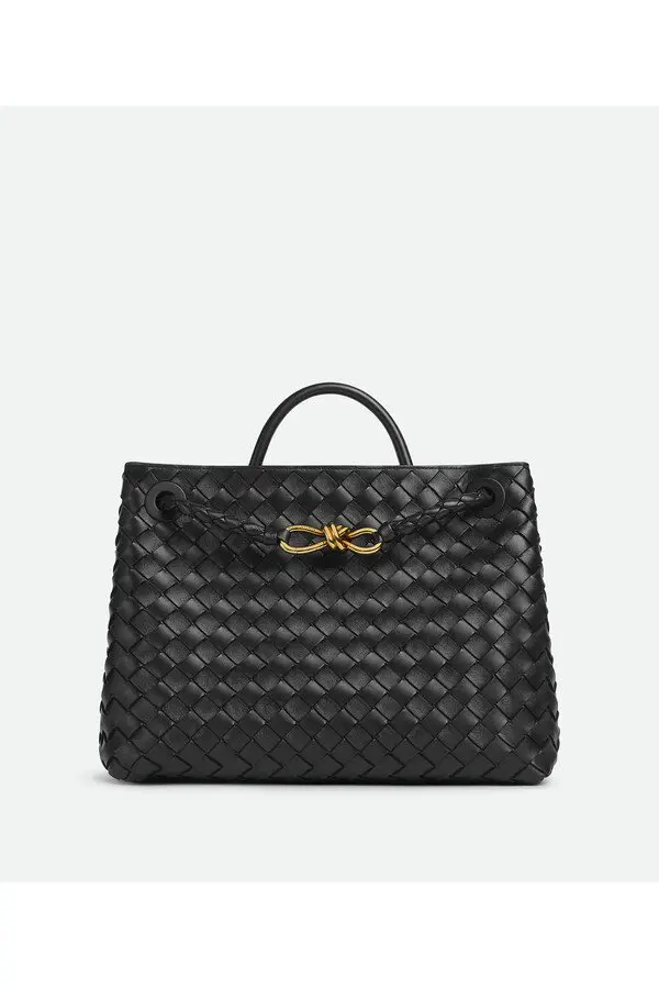 Bottega Veneta Medium Andiamo