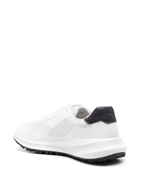 Geox Panelled Low-top Sneakers