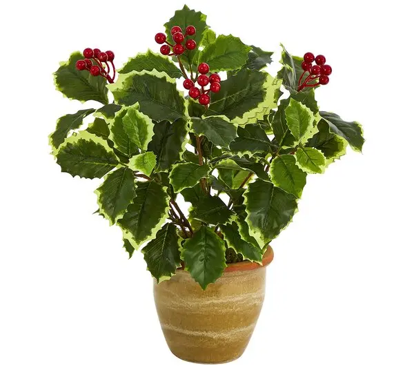 NEARLY NATURAL 14' Variegated Holly Leaf Plant In Ceramic Pla Nter - One-color