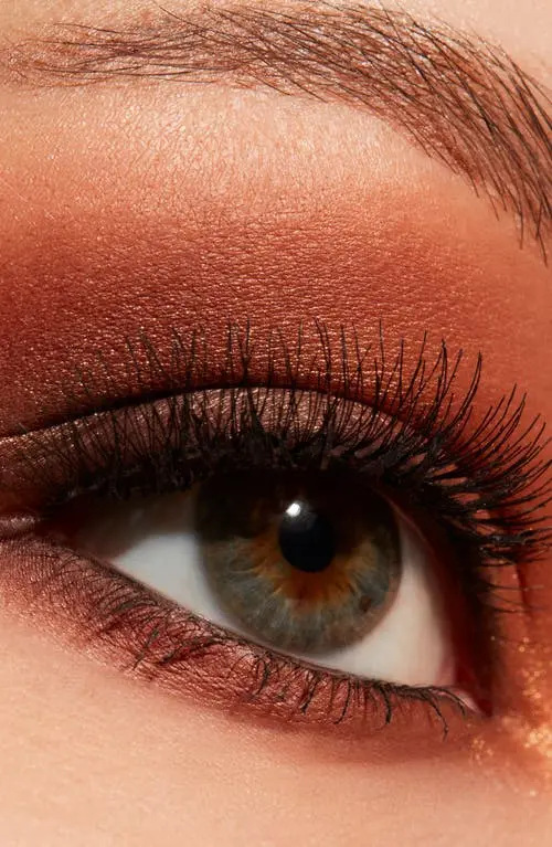 MAC COSMETICS Connect In Color 12-pan Eyeshadow Palette - Future Flame