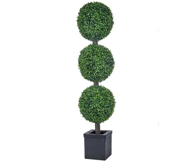 VALERIE PARR HILL Potted American Boxwood Triple Ball 48' Vale Rie - One-color