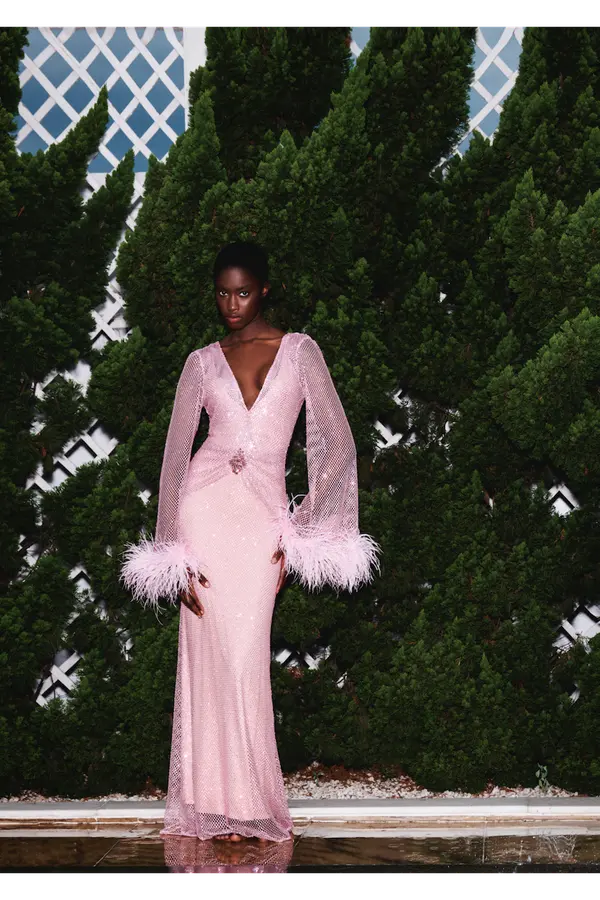 Patbo Feather Trim Rhinestone Netted Plunge Gown Runway - Pink |  Editorialist