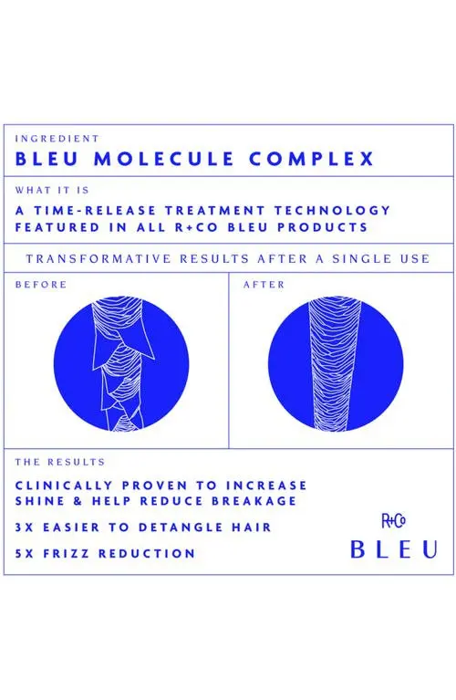R+Co Bleu Primary Color Shampoo