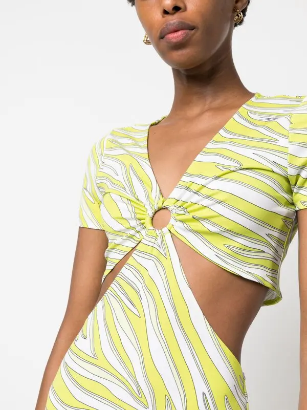 Michael Kors Zebra-print Maxi Dress