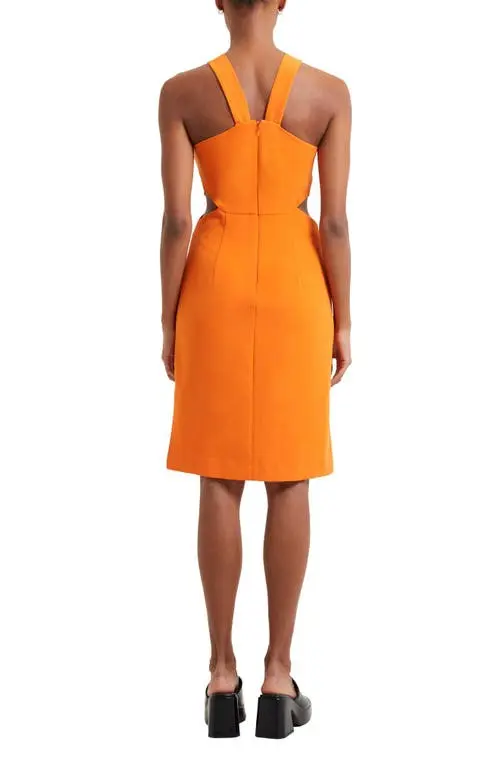french connection orange dress French Connection PANTHEA HALTER DRESS IN SUNSHINE ORANGE Size 6 Nwt (1326)
