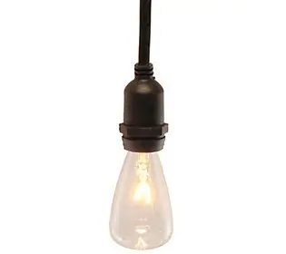 LUMABASE 12 Light Edison-style Outdoor Electric String Lights - One-color
