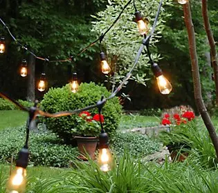 LUMABASE 12 Light Edison-style Outdoor Electric String Lights