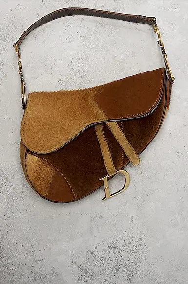 Dior Saddle Bag In Brown - Camel | Editorialist