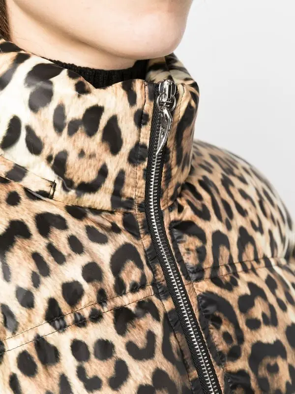 Roberto Cavalli Leopard-print Padded Jacket