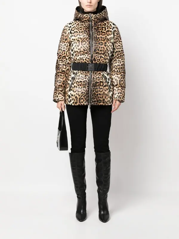 Roberto Cavalli Leopard-print Padded Jacket