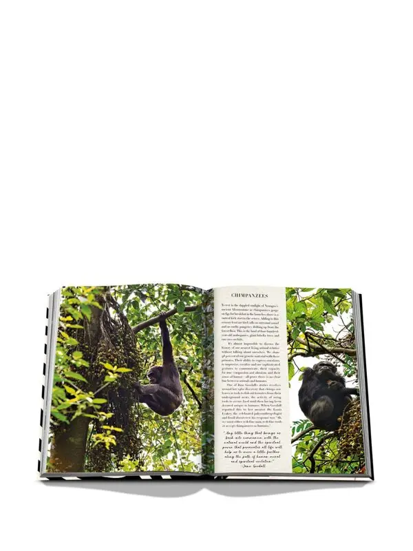 Assouline African Adventures: The Greatest Safari On Earth Book