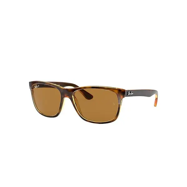 Ray-ban Rb4181 Sunglasses - Light Havana