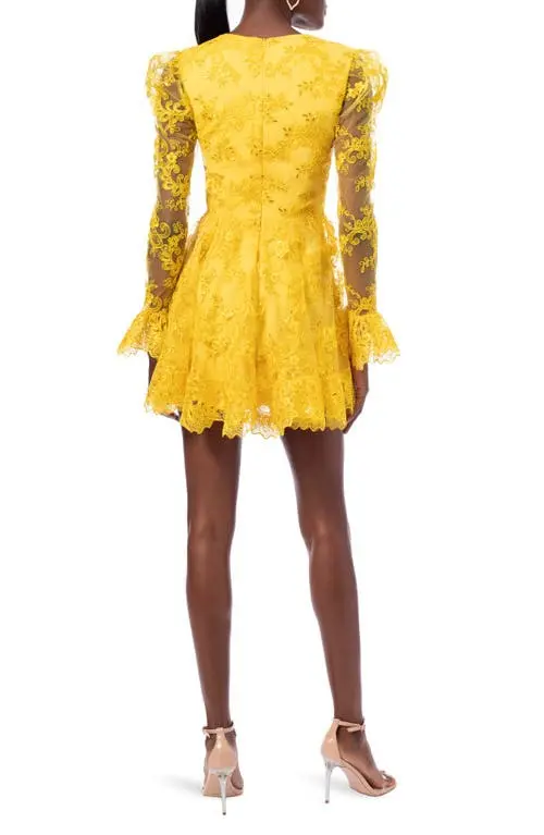 HELSI Lily Sequin & Lace Long Sleeve Minidress
