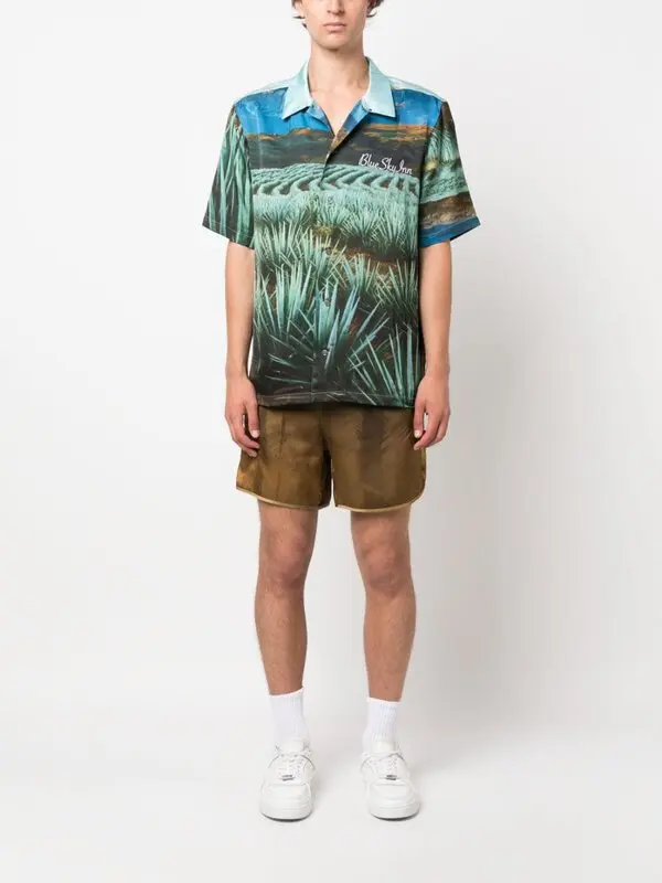 BLUE SKY INN Agave Graphic-print Shirt - Blue