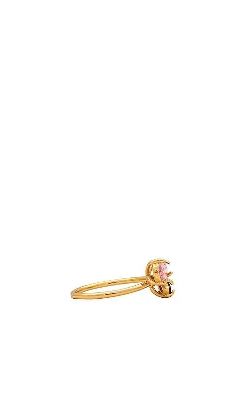 Ettika Jewel Ring