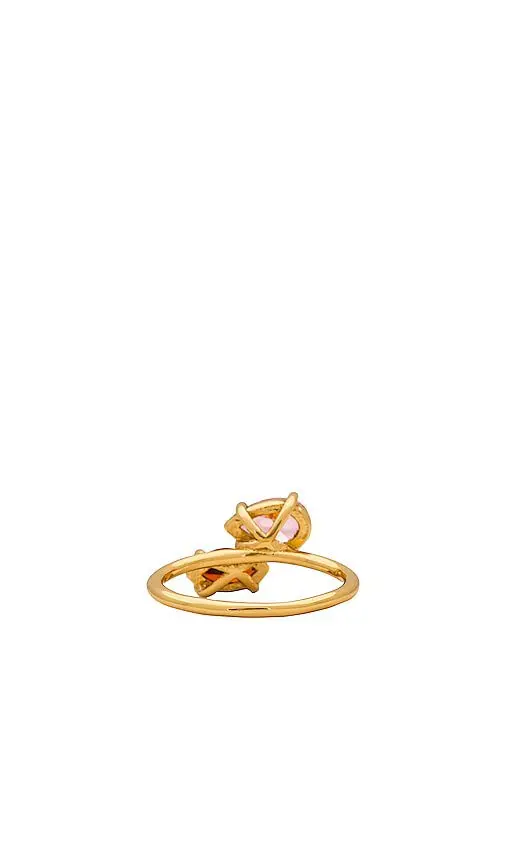 Ettika Jewel Ring