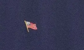 Ralph Lauren Flag Embroidered Cotton Polo