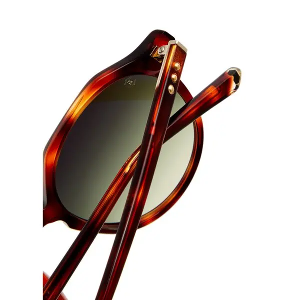 Taylor Morris Eyewear Chepstow Round-Frame Sunglasses  display picture 1