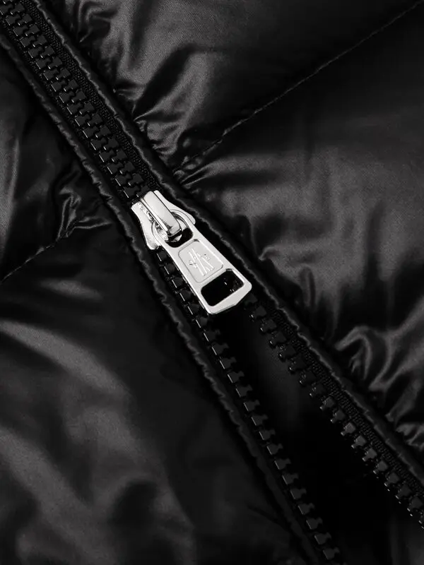 Moncler Pavin Logo-appliquéd Quilted Down Jacket