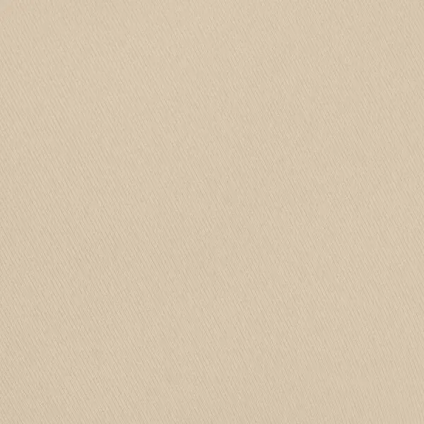 SKIMS Strapless Bra | Light Neutral | | Fits Everybody - Sand