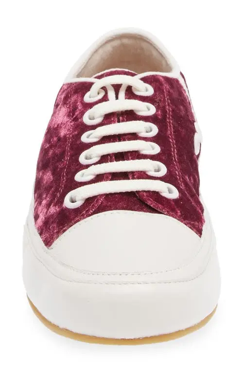 CECILIA NEW YORK Rookie Sneaker - Wine Velvet