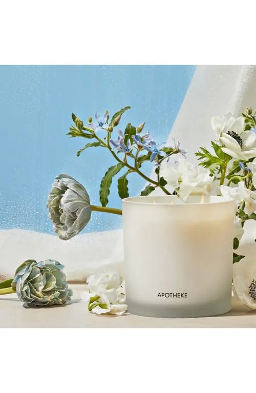 APOTHEKE 3-wick Scented Candle