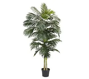 NEARLY NATURAL 8' Golden Cane Palm Silk Tree - One-color