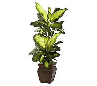 NEARLY NATURAL Golden Dieffenbachia W/ Decorative Planter N Early Natural - One-color
