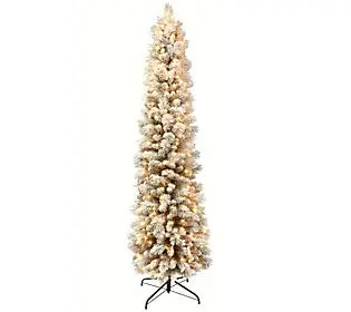PULEO INTERNATIONAL 6.5 Ft Pre-lit Flocked Pine Pencil Tree - One-color